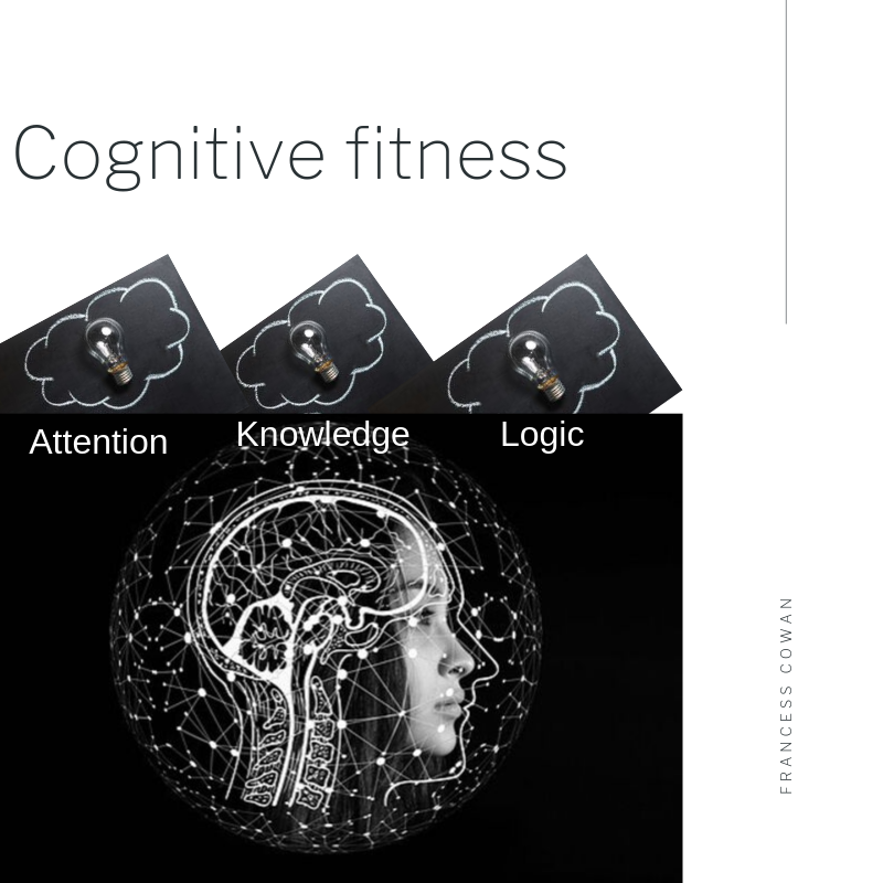 COGNITIVE FITNESS FOR BRAIN POWER – Ariana Diaries